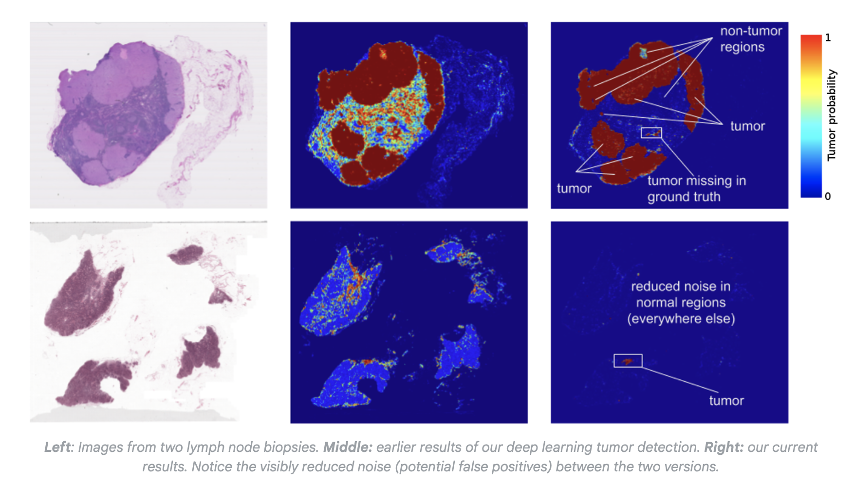 Neural Networks in Life Sciences
